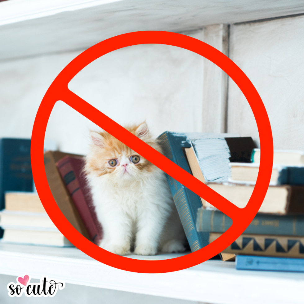 The Dos And Don'ts of Self-Taping | Biz Of Acting